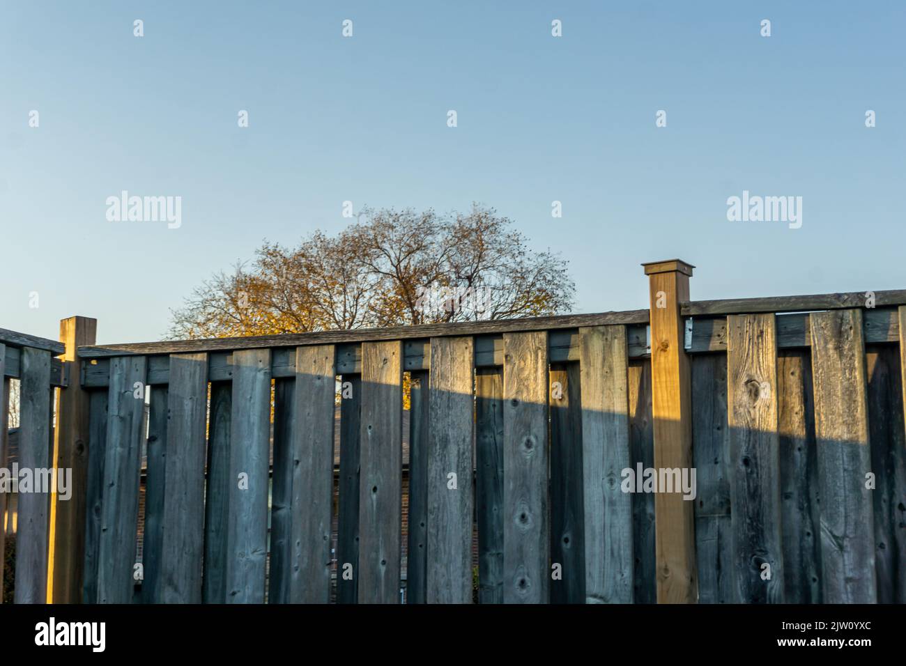 Wooden backyard fence with a leafless treetop in the background. Start ...