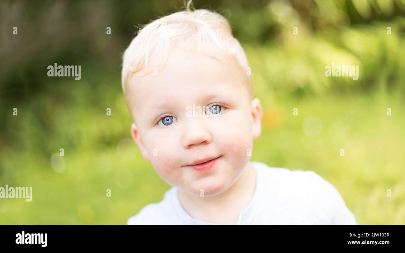 Close up headshot of a young blonde male looking into the camera Stock ...