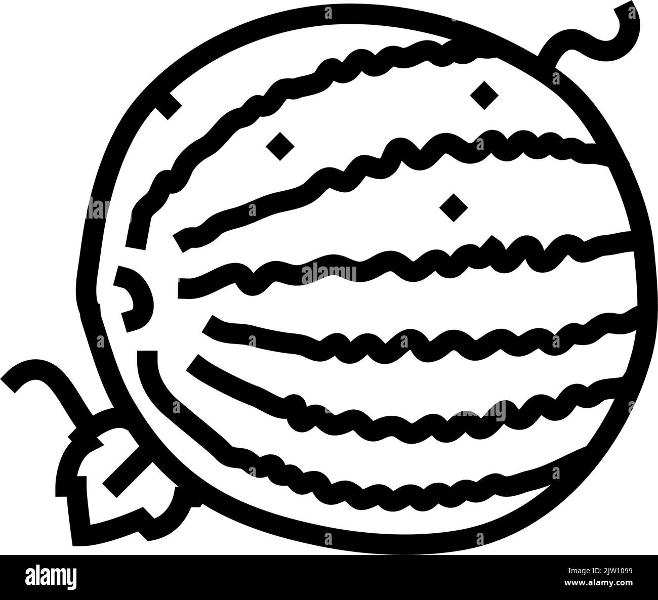 Pink melon Black and White Stock Photos & Images - Alamy