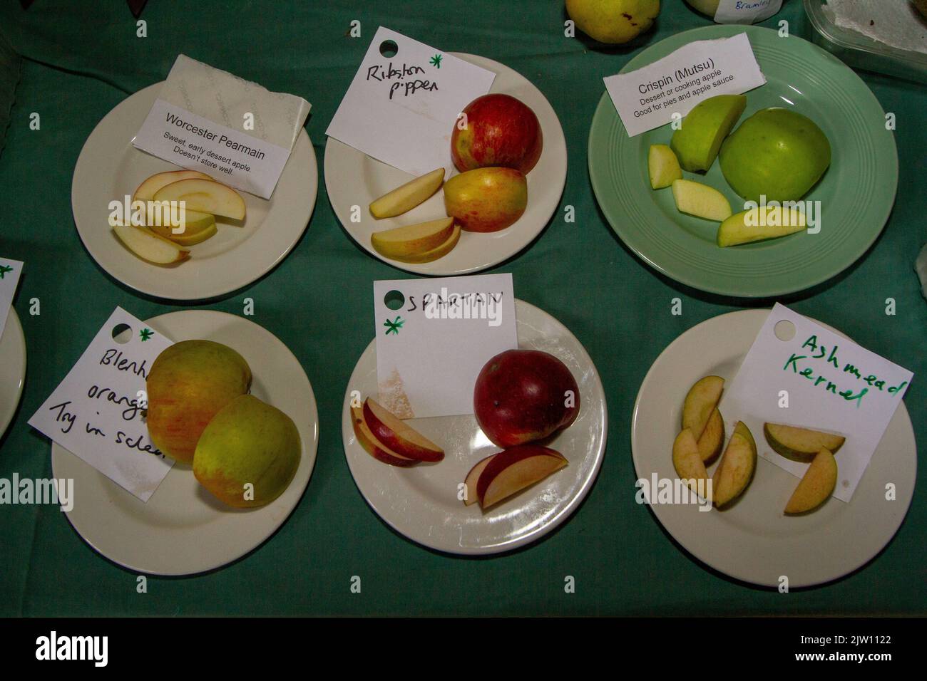 Apple Day at Suffolk Wildlife Trust's Foxburrow Farm near Melton in ...