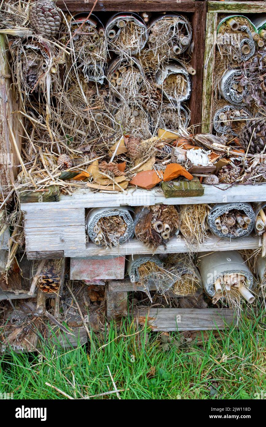 An insect hotel at Suffolk Wildlife Trust's Foxburrow Farm near Melton ...