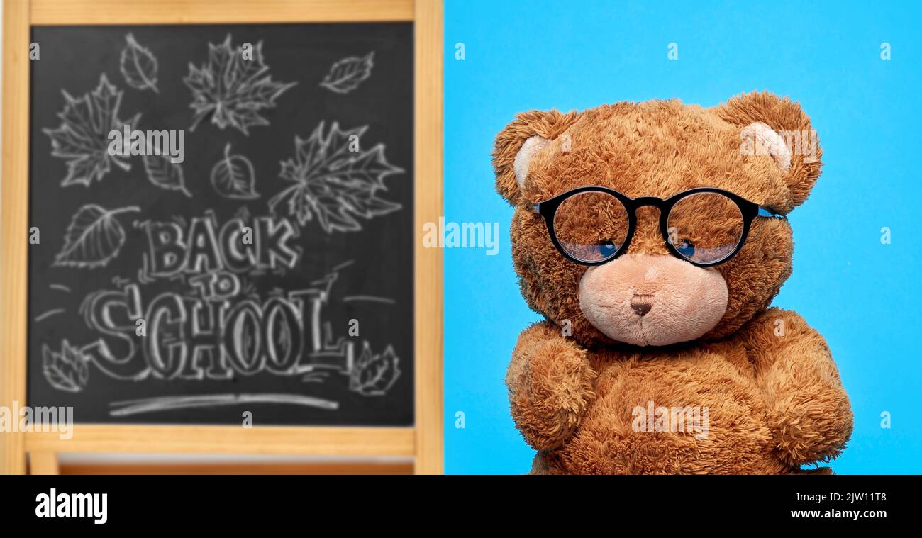 teddy bear in glasses over school chalkboard Stock Photo - Alamy