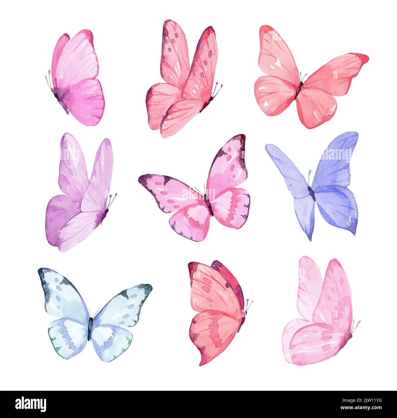 Set of butterflies isolated on white background. Watercolor ...