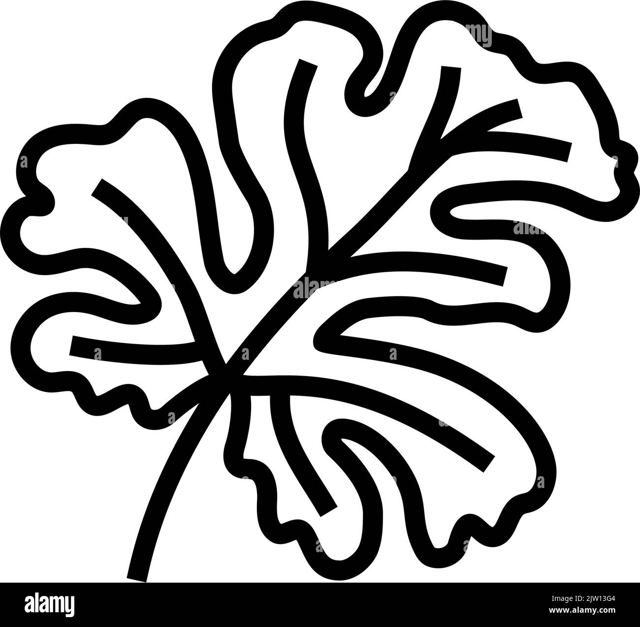 Watermelon Leaves Vector