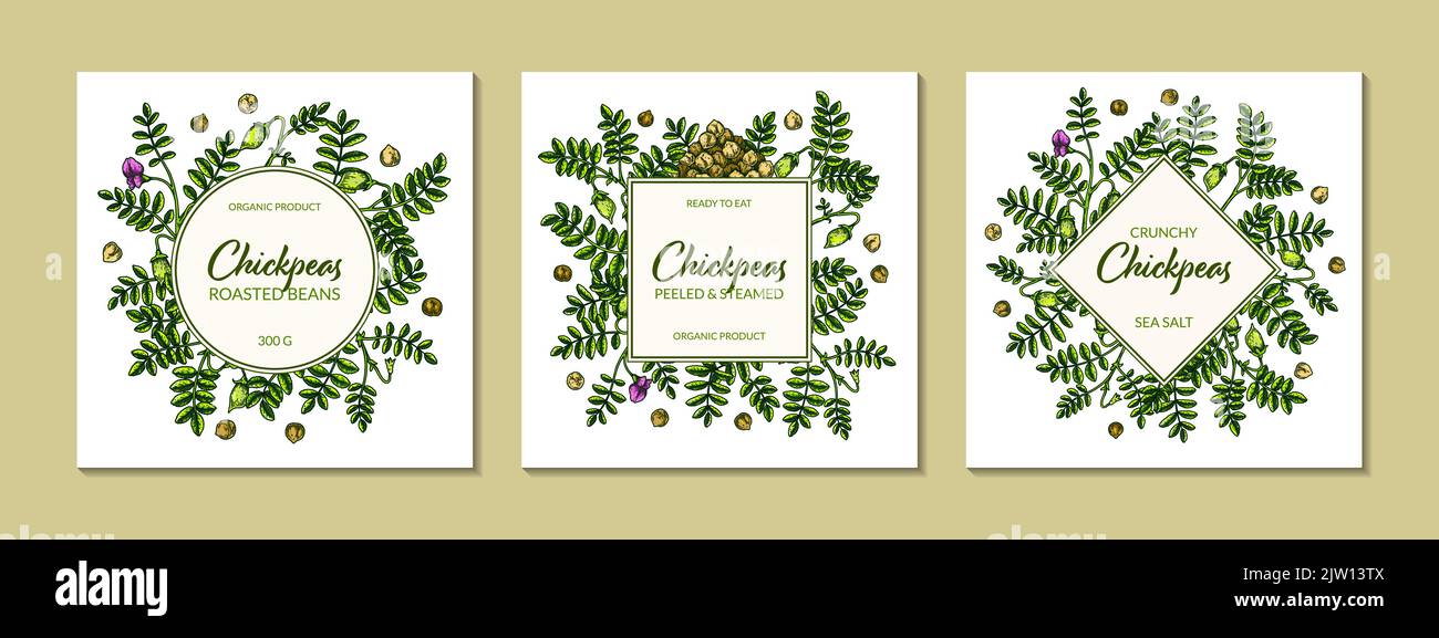 Set of colorful chickpeas frames. Hand drawn illustration in colored ...