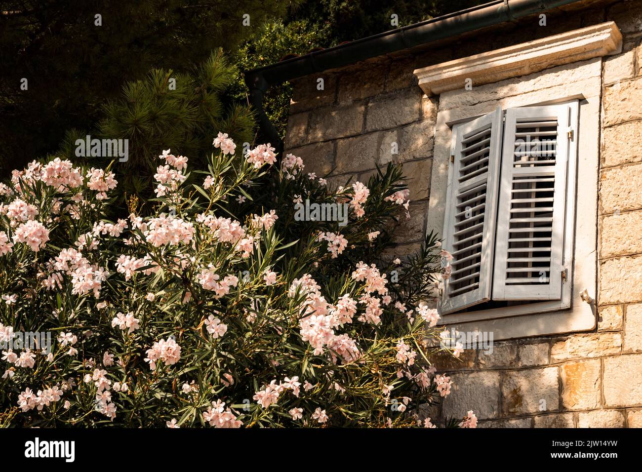 Beautiful mediterranean house with white window shutters and wonderful ...
