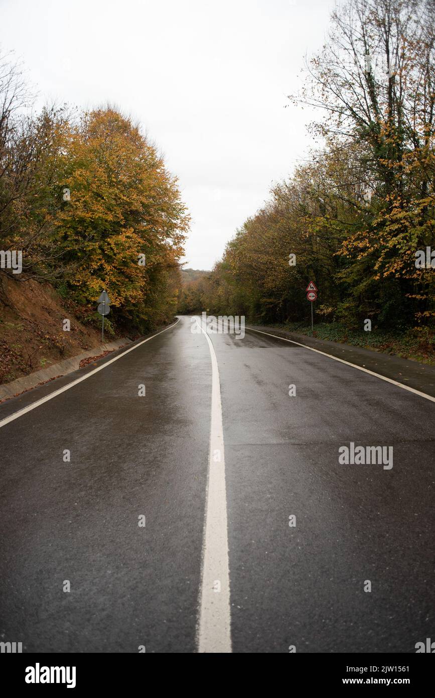 Asphalt road autumn forest with fallen leaves Stock Photo - Alamy