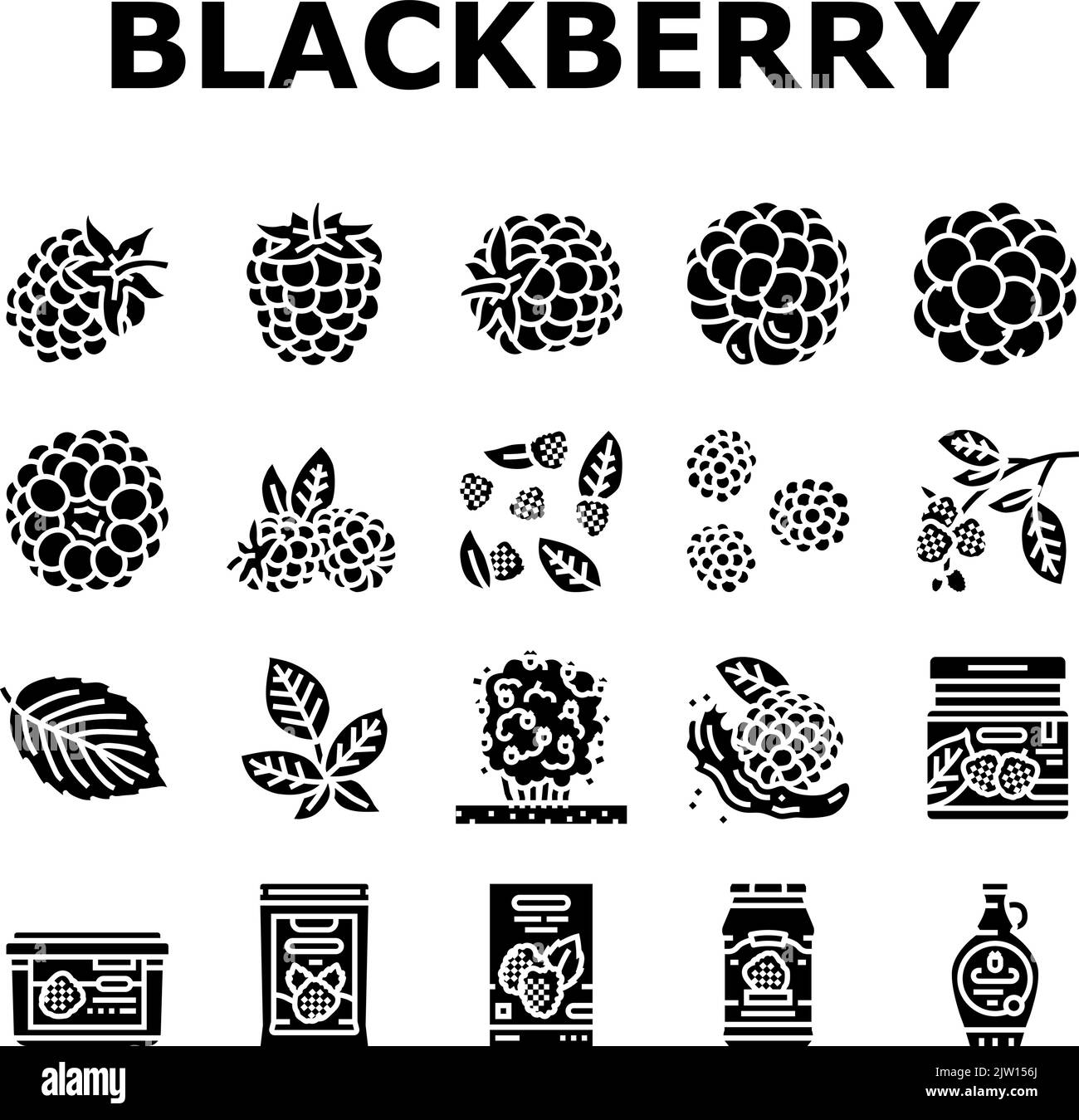 blackberry fruit berry black food icons set vector Stock Vector Image ...