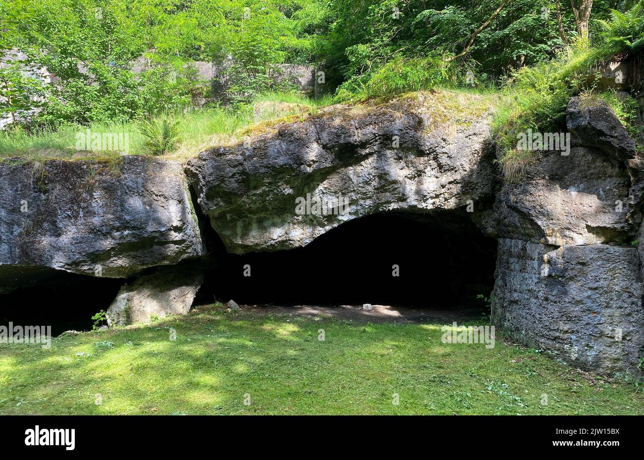 A dark cave under gray rocks surrounded by lush vegetation Stock Photo ...