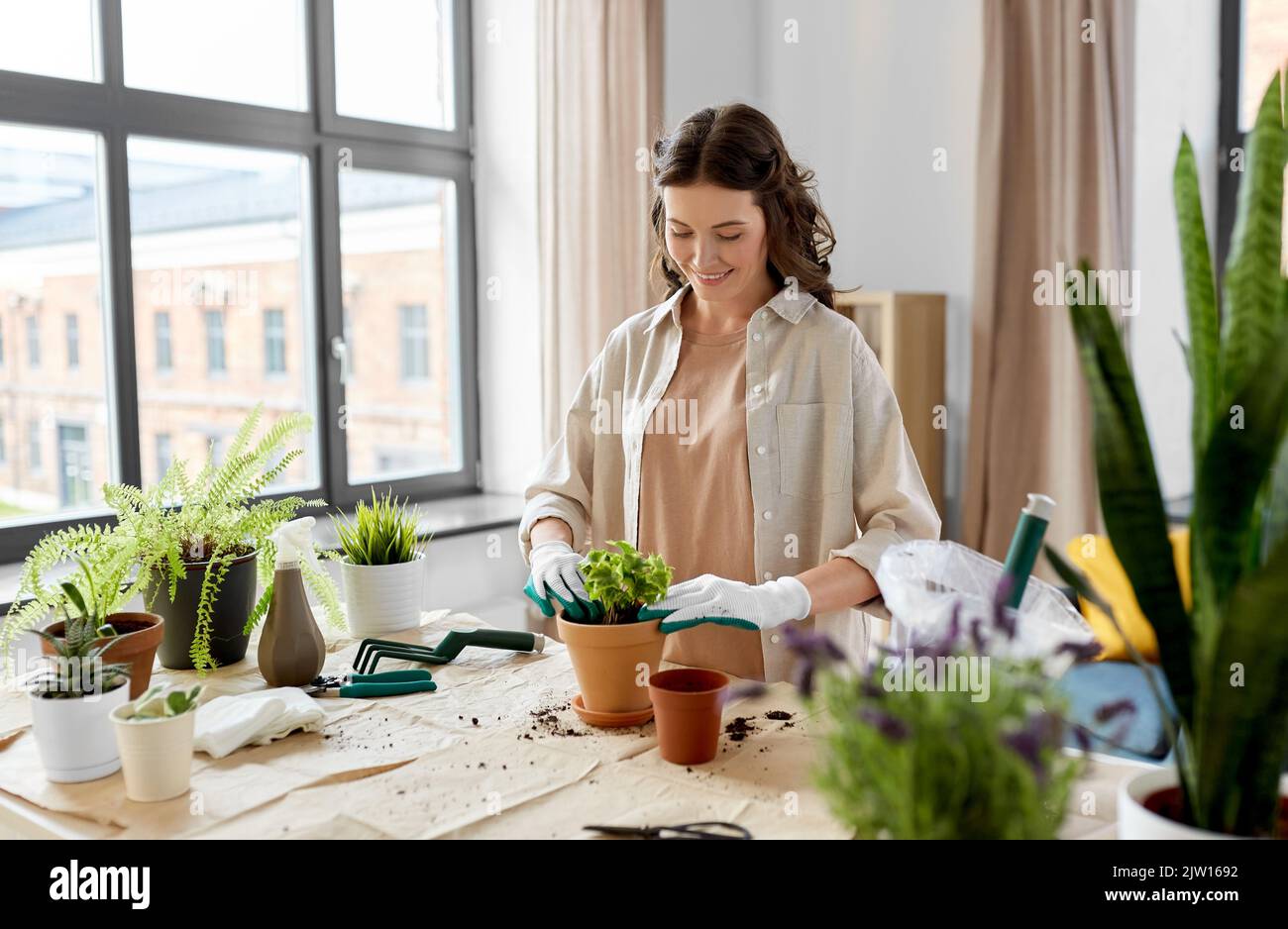 Woman planting pot flowers home hi-res stock photography and images - Alamy