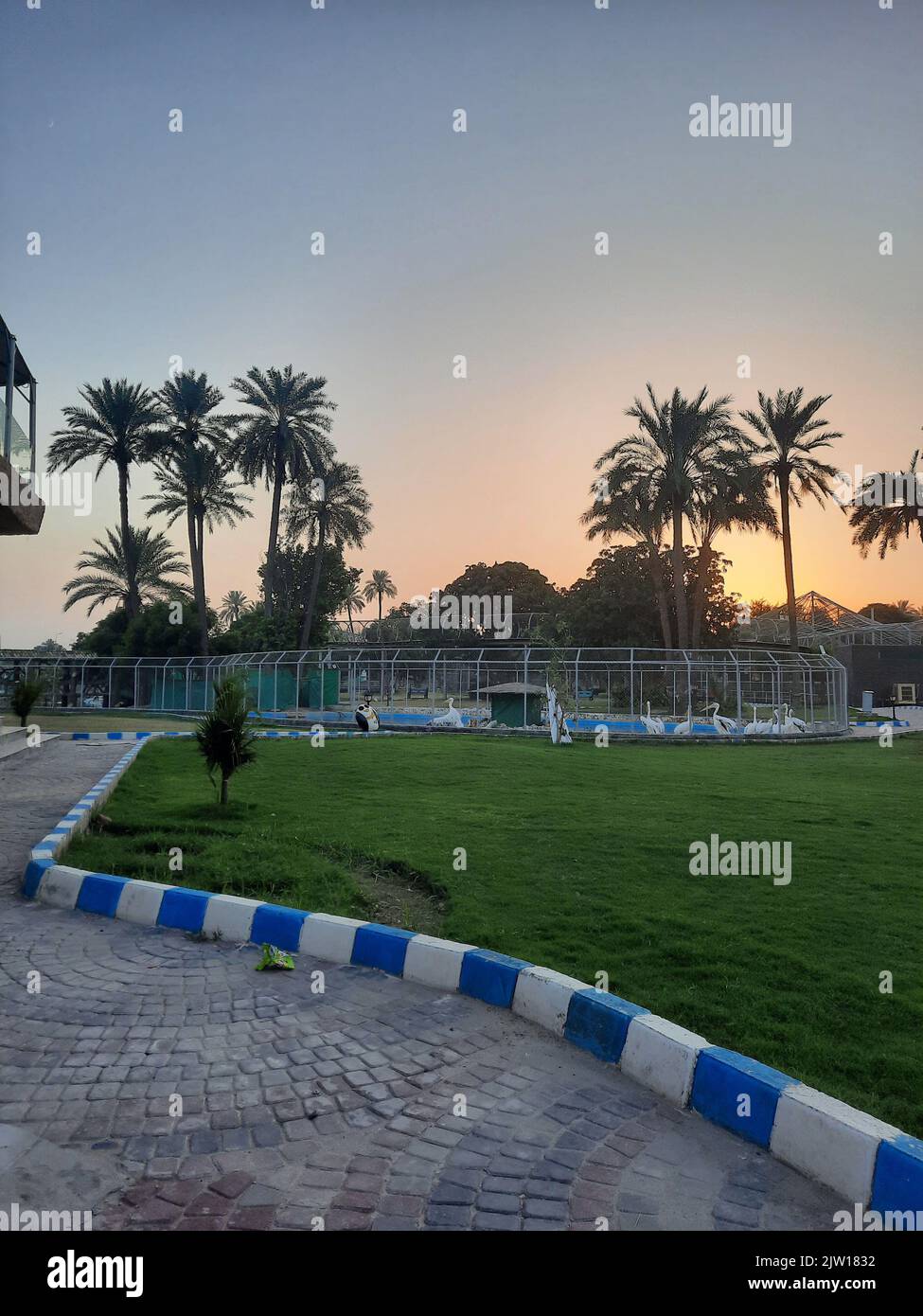 Natural background at park view with trees Stock Photo - Alamy