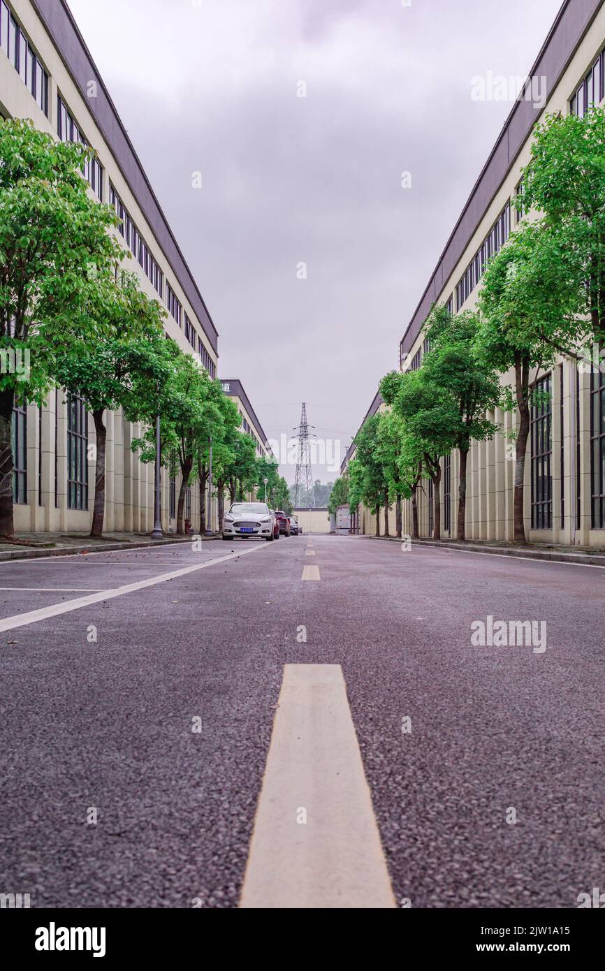 View between two trees hi-res stock photography and images - Alamy