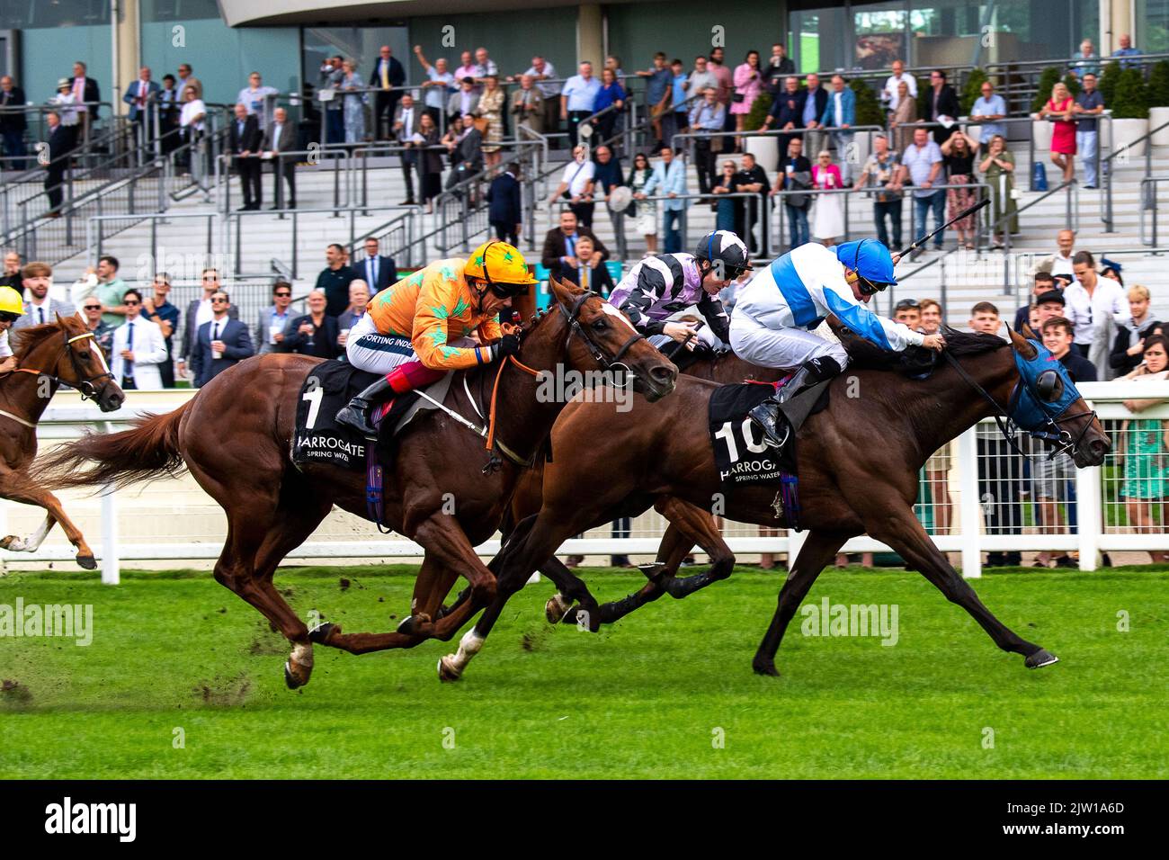 Frankie detorri ascot hi-res stock photography and images - Alamy