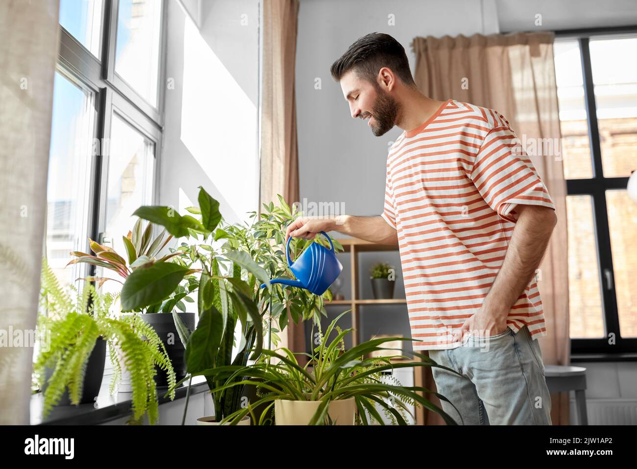 happy smiling man watering flowers at home Stock Photo - Alamy