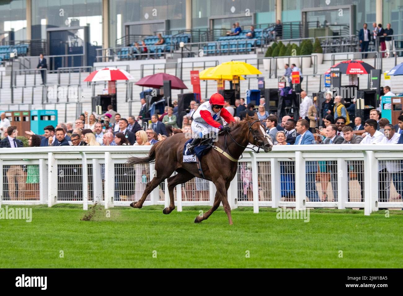 Sound of iona horse hi-res stock photography and images - Alamy