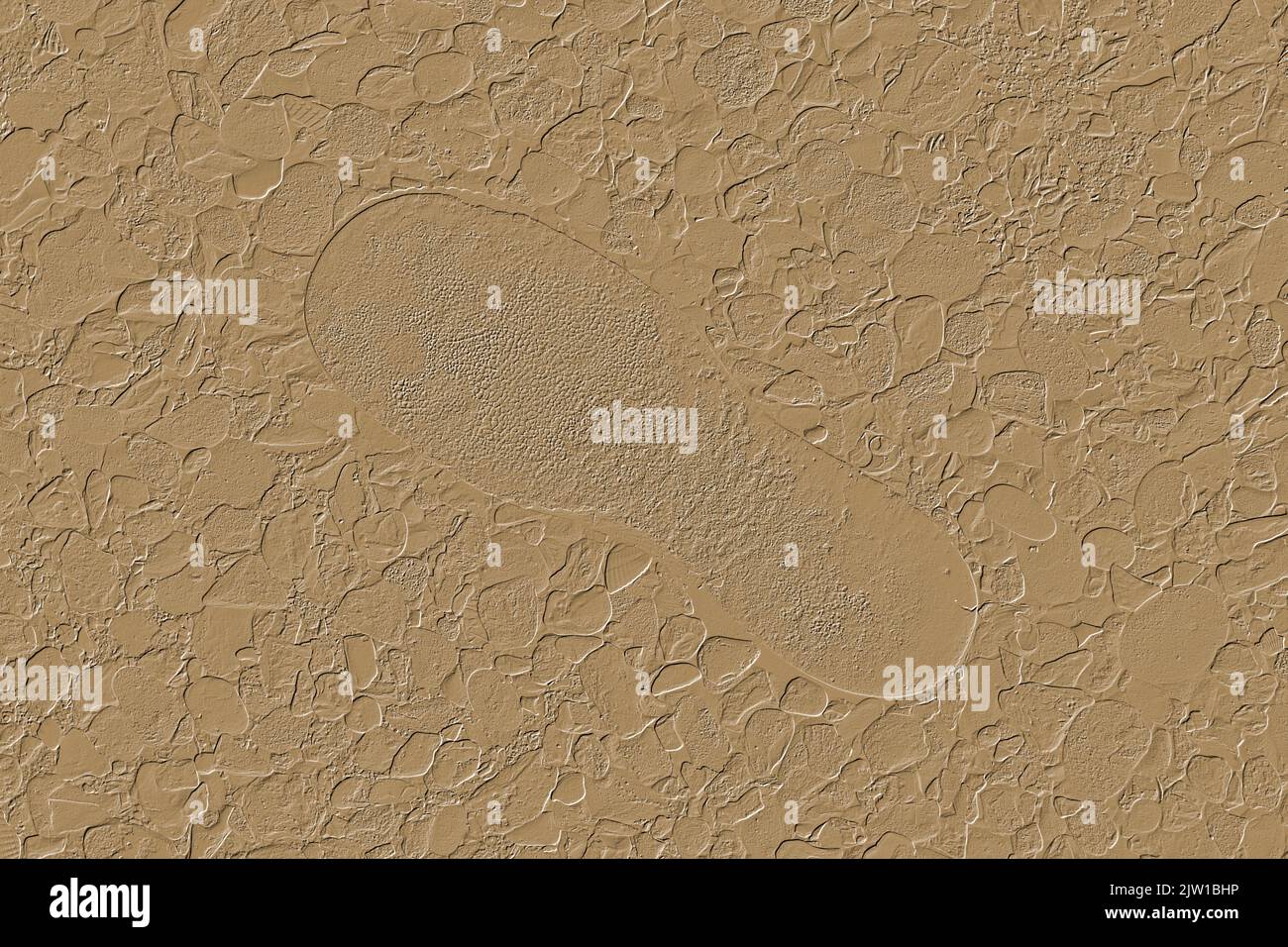 Digitally embossed footprint in pebbles Stock Photo - Alamy