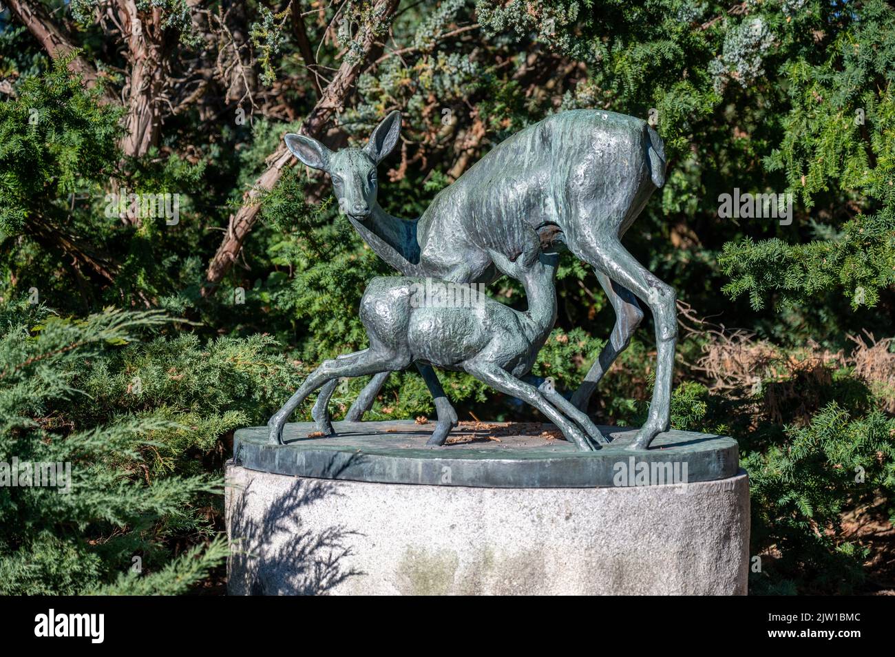 Public art in Norrkoping, Sweden: Roe deer with fawn a bronze by Arvid ...