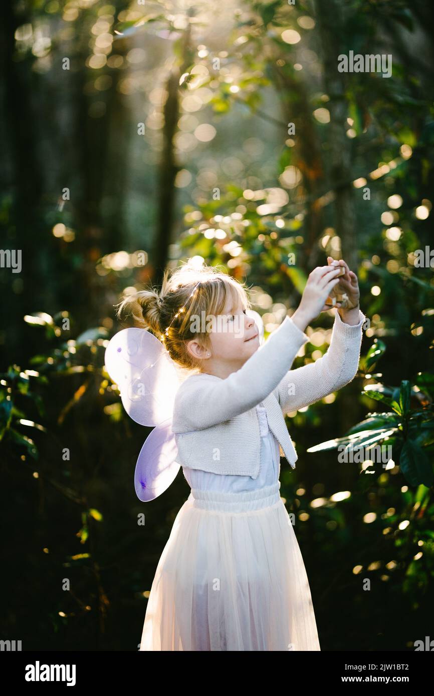 Girl in white angel dress with wings in shining light in forest Stock ...