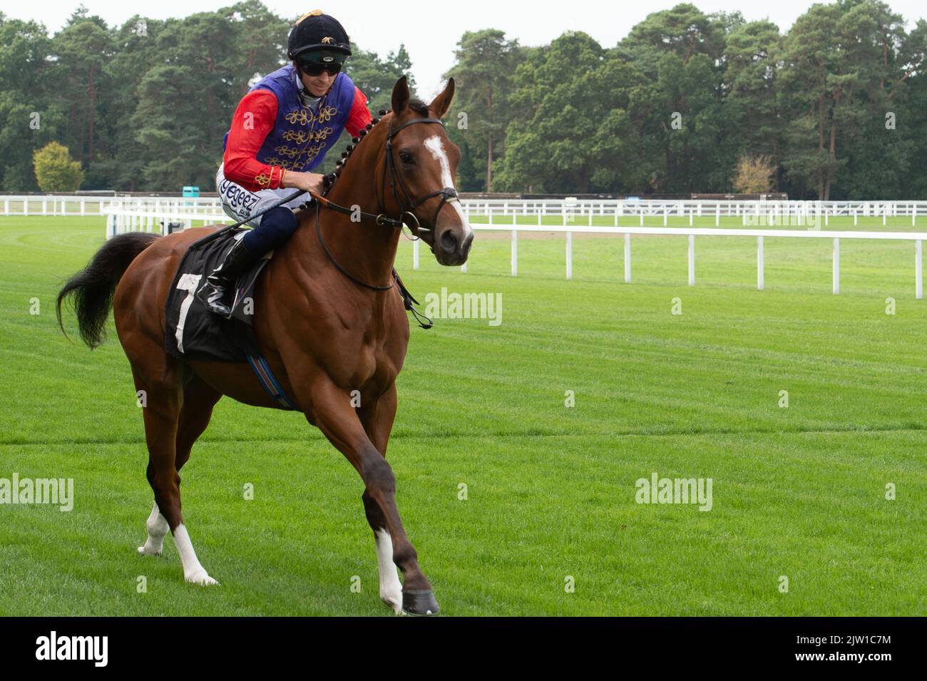 Ascot, Berkshire, UK. 2nd September, 2022. Jockey David Probert heads ...