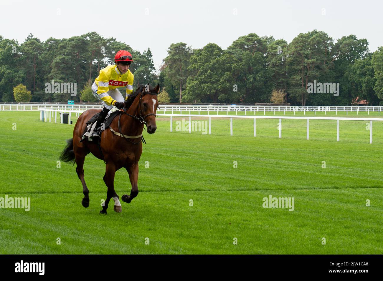 Trainer mark pattinson hi-res stock photography and images - Alamy