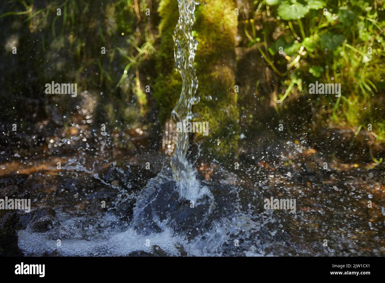 Water droplets hitting water surface hi-res stock photography and ...