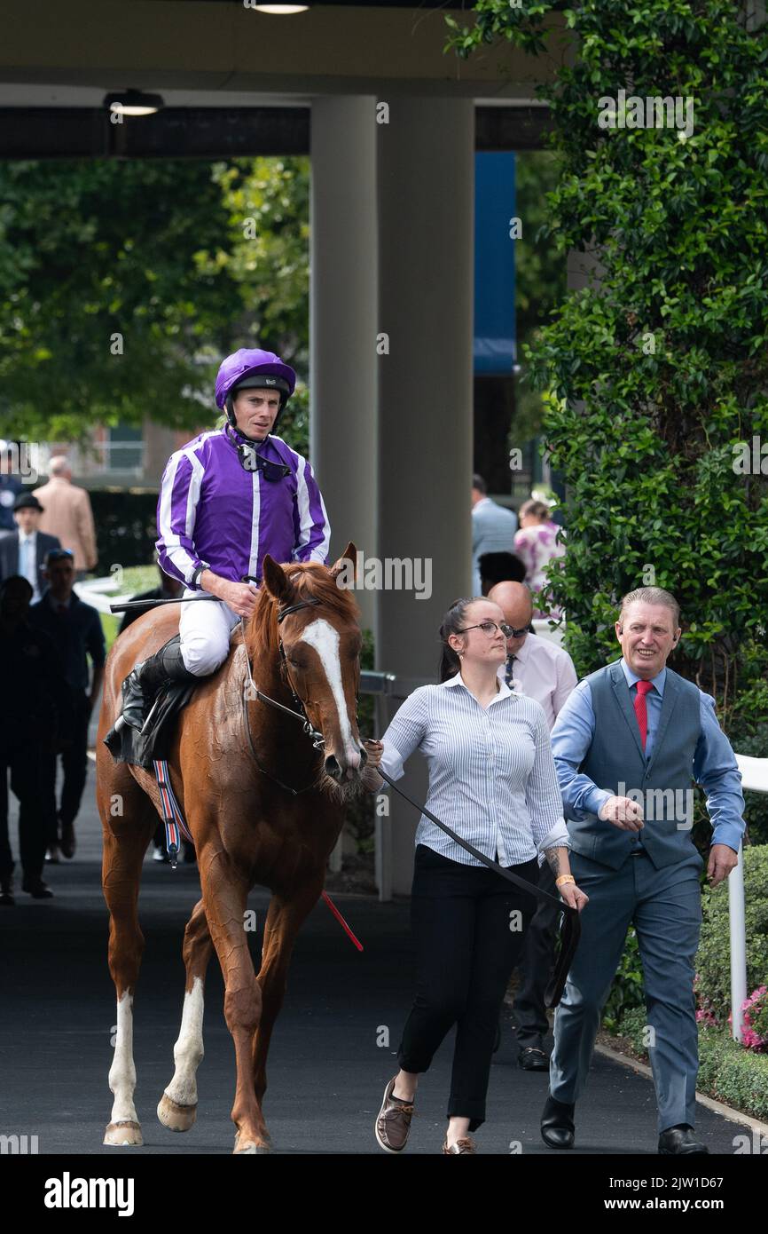 Aidan o'brien 2022 hi-res stock photography and images - Alamy