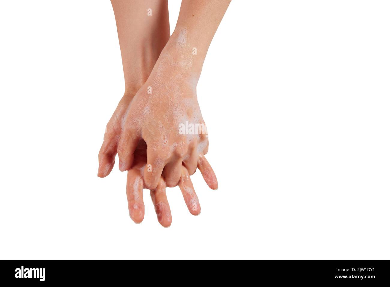 A woman clasping hands and spreading soap between fingers against white ...