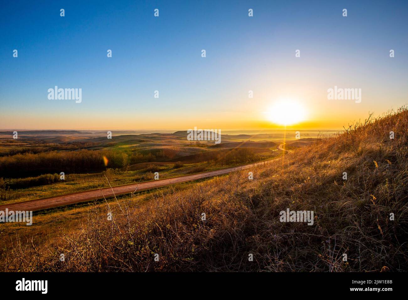 People outside sun flare hi-res stock photography and images - Alamy
