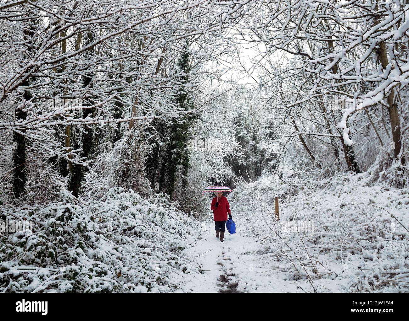 VICKI WALKER OFF TO THE SHOPS THROUGH CASTLE SHORE PARK AT PORTCHESTER ...