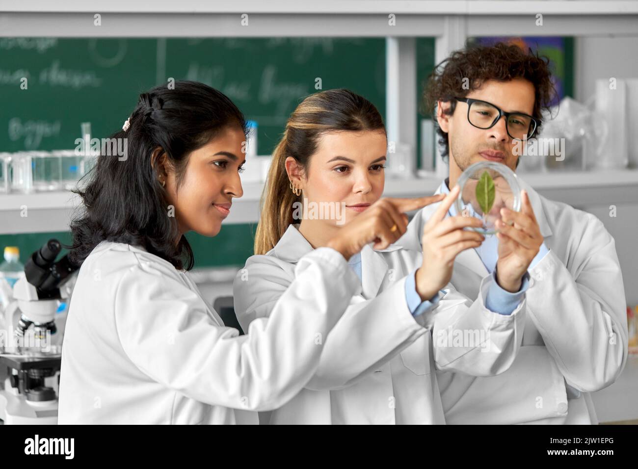 group of scientists with leaf in laboratory Stock Photo - Alamy