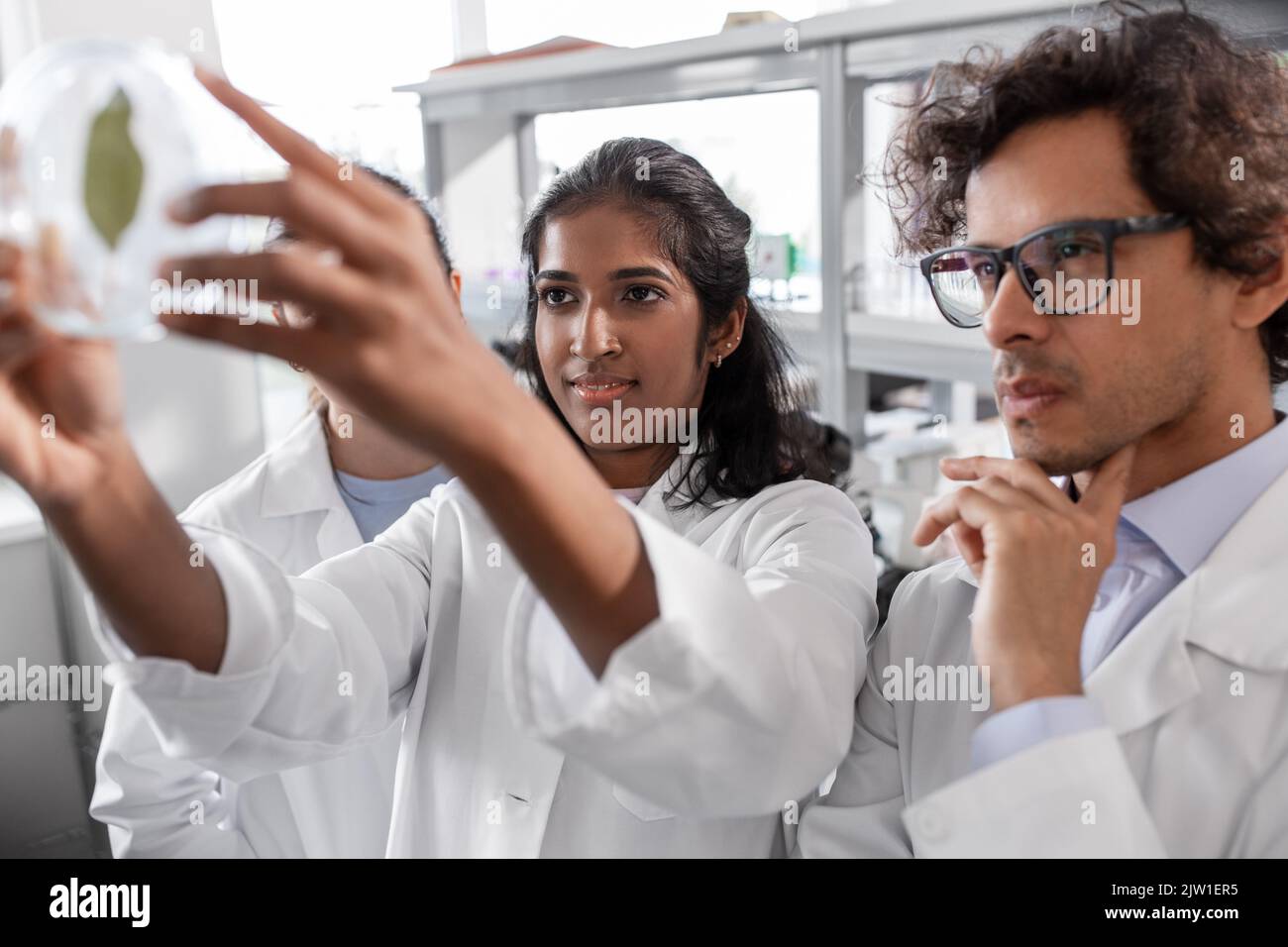 group of scientists with leaf in laboratory Stock Photo - Alamy