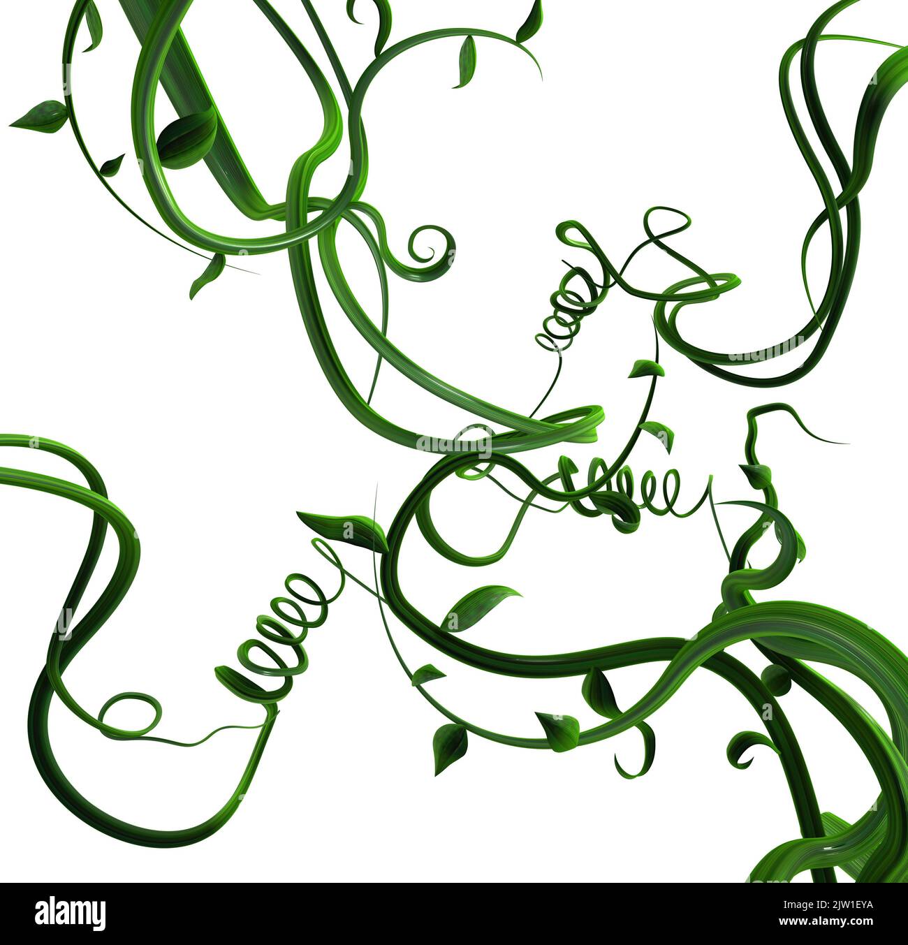Plant vines green growing twisting joined, 3d illustration, horizontal ...