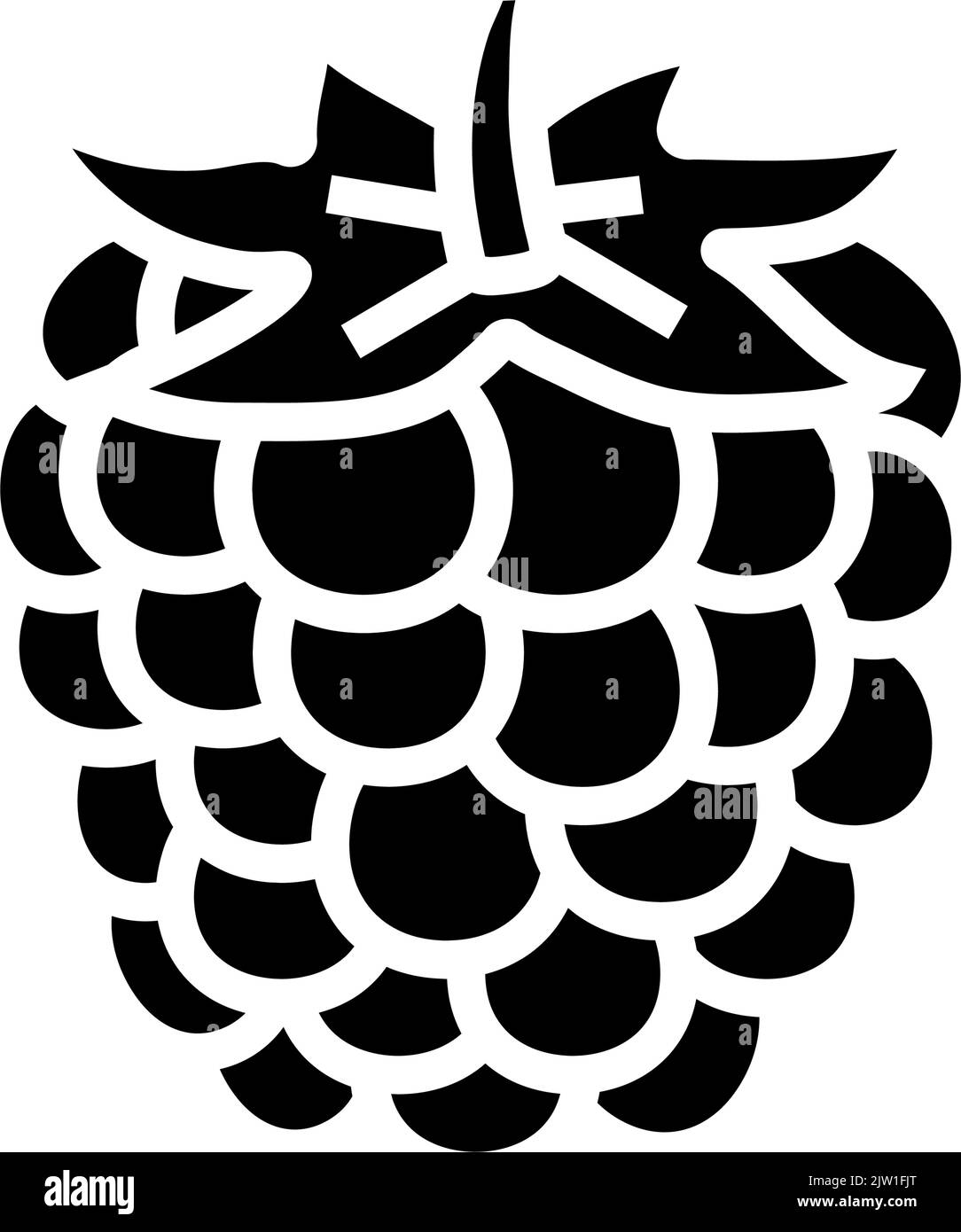ripe blackberry glyph icon vector illustration Stock Vector Image & Art ...