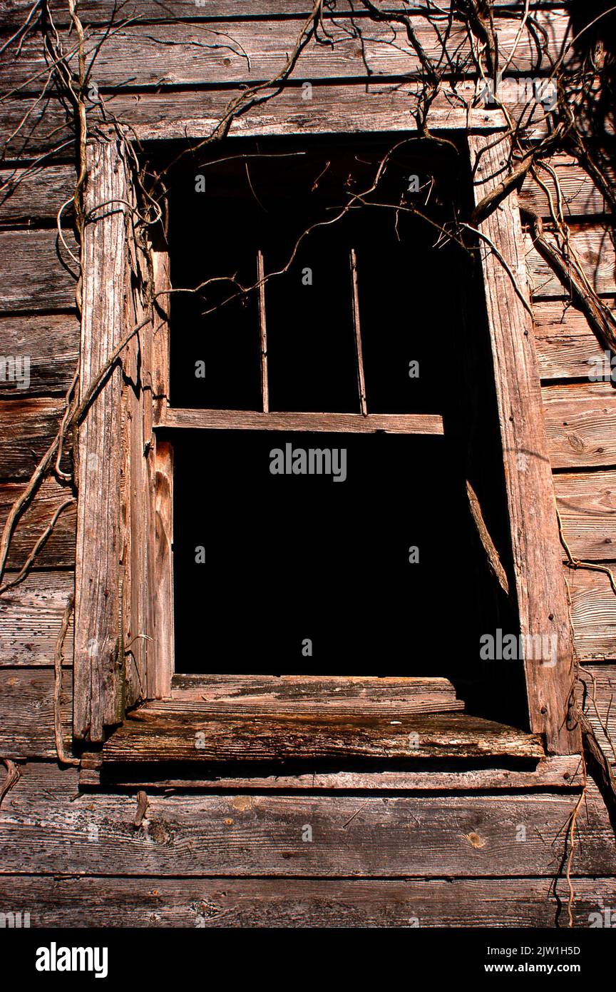 A weather worn window from a deserted house in a American Rural area ...