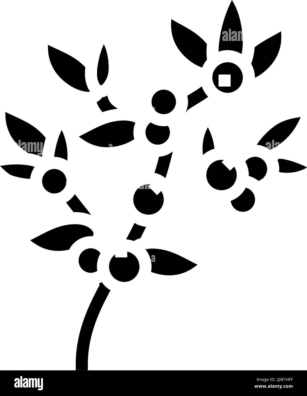 Huckleberry jam Black and White Stock Photos & Images - Alamy