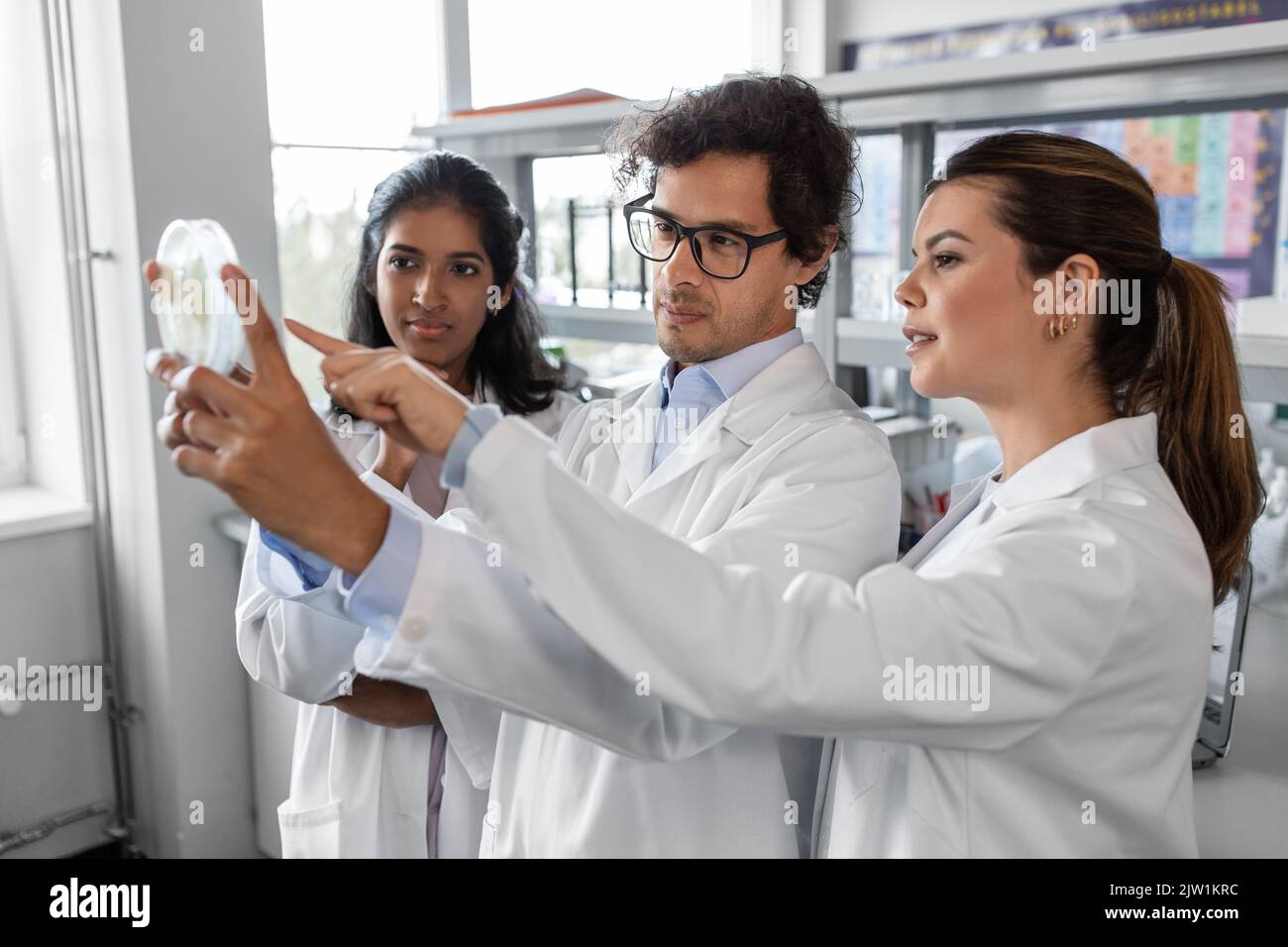 group of scientists with leaf in laboratory Stock Photo - Alamy