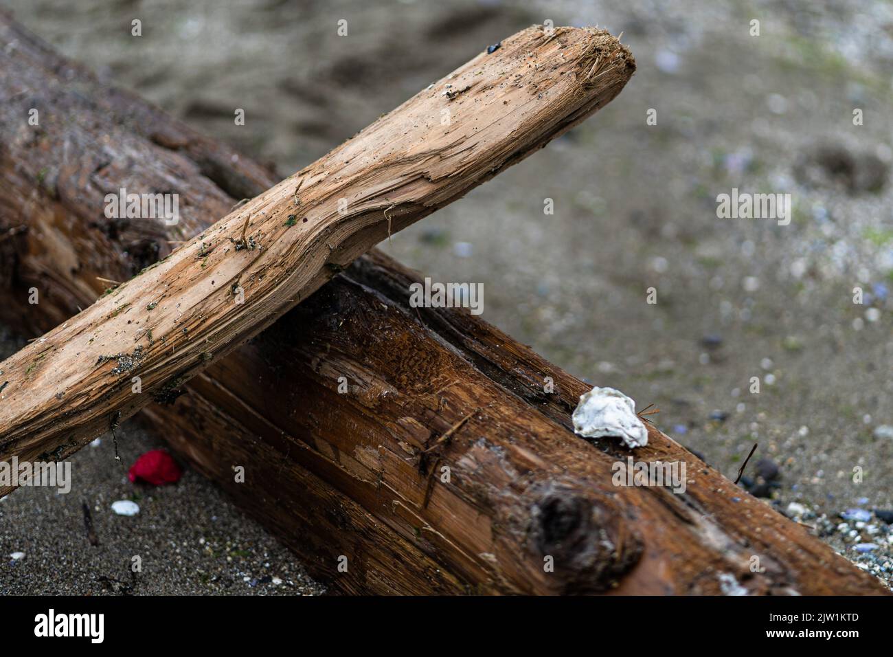 Driftwood On Sand Wood Texture Stock Photo - Alamy