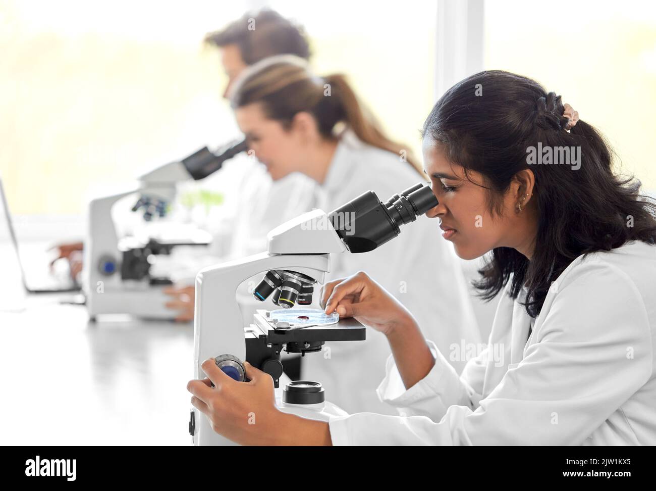 scientists with microscopes working in laboratory Stock Photo - Alamy