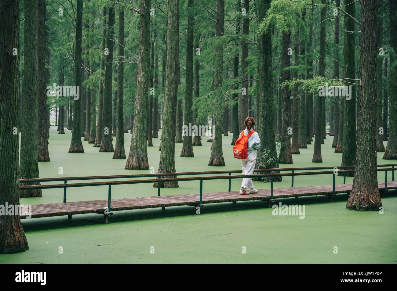 YANGZHOU, CHINA - SEPTEMBER 1, 2022 - A tourist plays at Luyang Lake ...