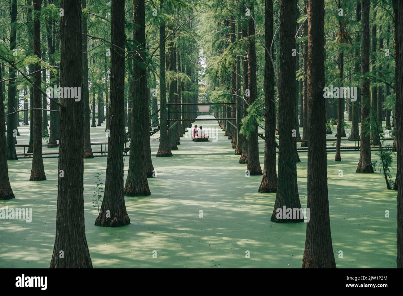 YANGZHOU, CHINA - SEPTEMBER 1, 2022 - Tourists take a boat ride in the ...