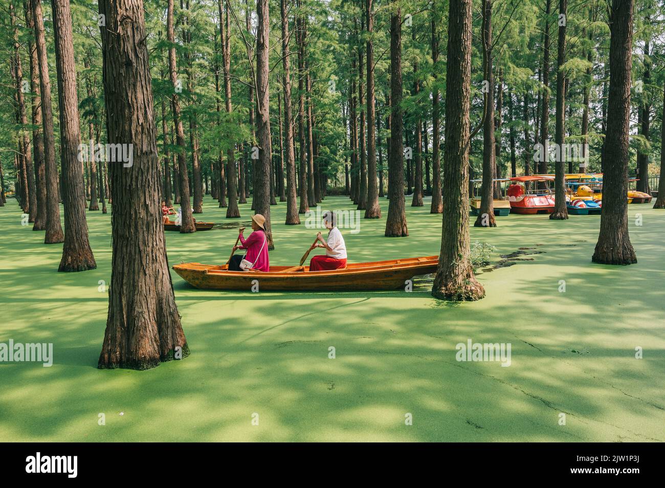 Yangzhou luyang lake wetland park hi-res stock photography and images ...