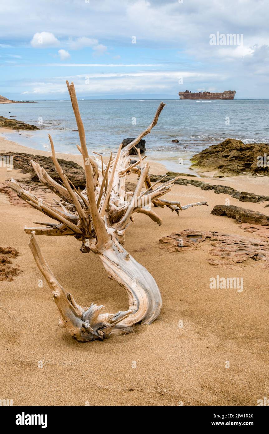 Accidental beach hi-res stock photography and images - Alamy