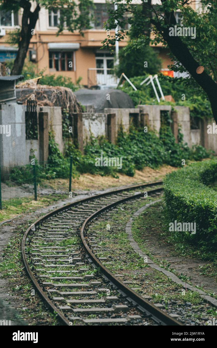 A vertical shot of train tracks and greenery Stock Photo - Alamy