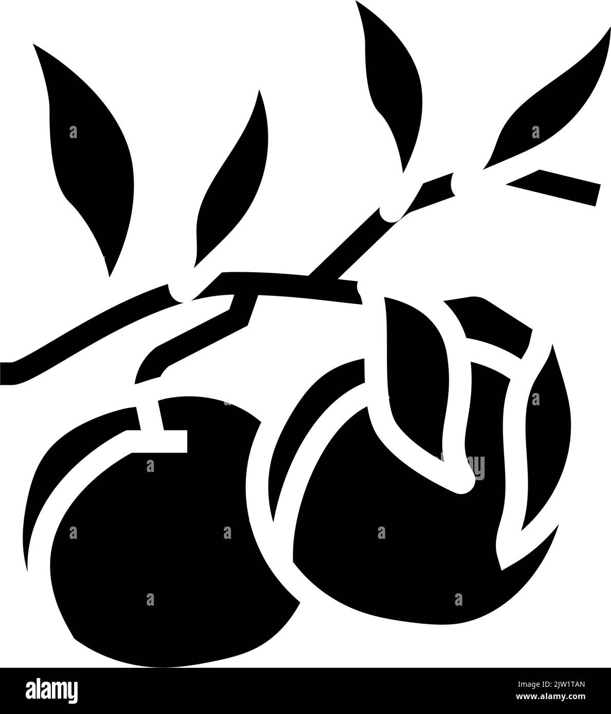 plant branch nectarine glyph icon vector illustration Stock Vector ...
