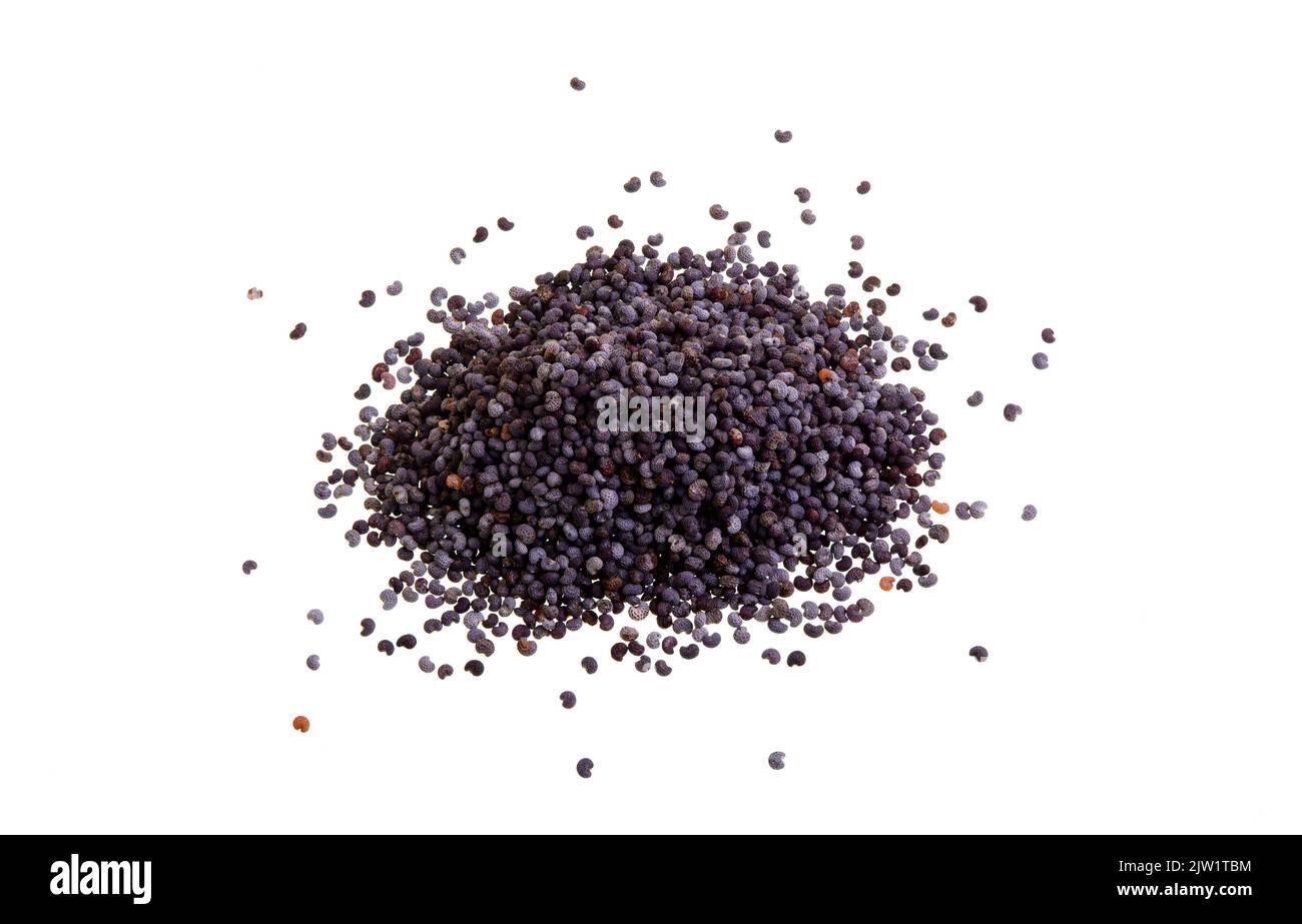 Poppy seeds are an oilseed obtained from the opium poppy, Papaver ...