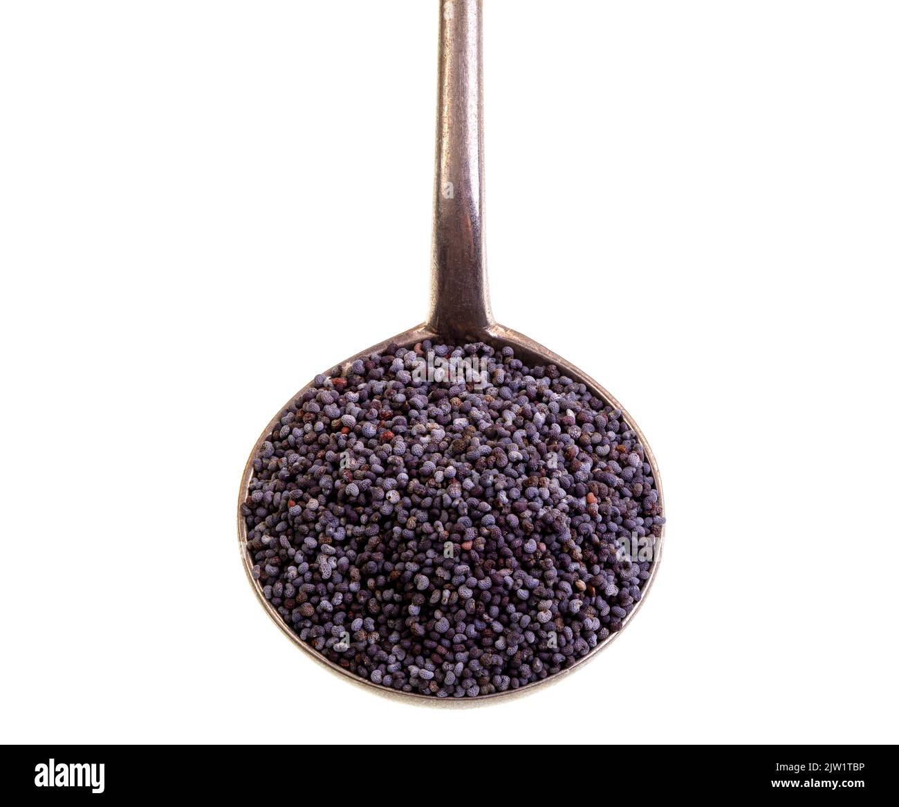 Poppy seeds are an oilseed obtained from the opium poppy, Papaver ...