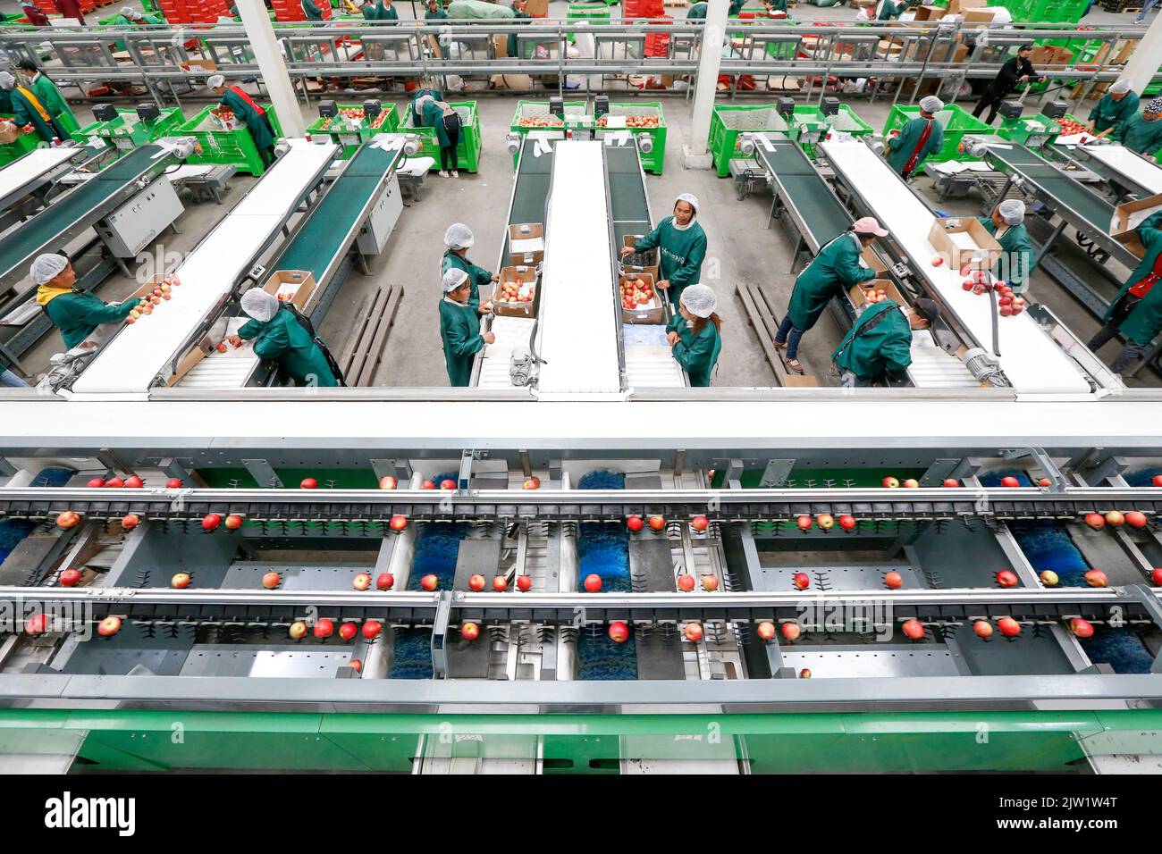 WEINING, CHINA - SEPTEMBER 2, 2022 - Two trucks load "Weining apples ...