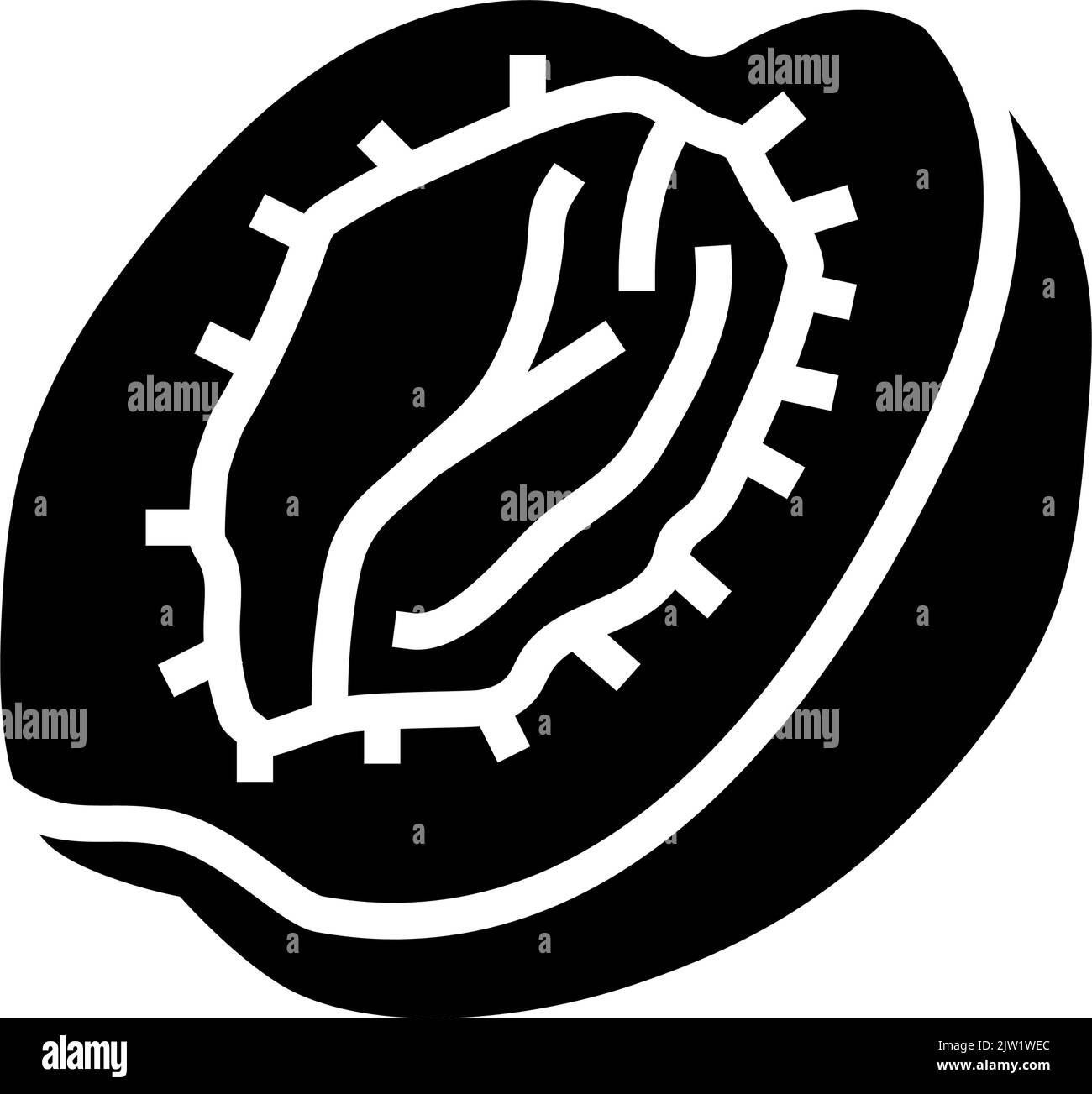 Cute watercolor fruit Black and White Stock Photos & Images - Alamy