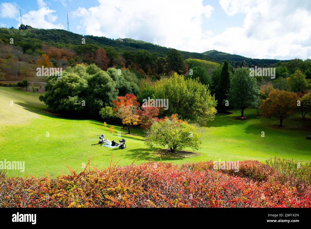 Mount Lofty Botanic Garden - South Australia Stock Photo - Alamy