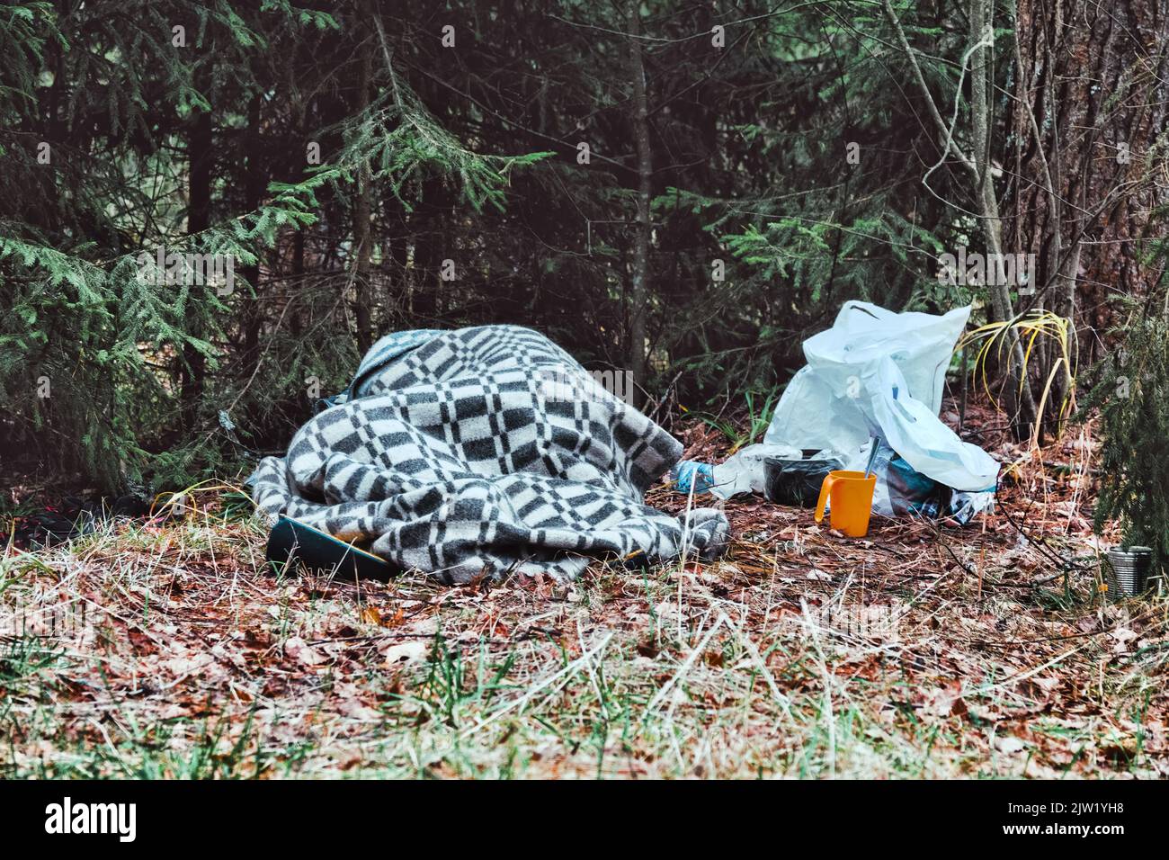 Homeless under the covers in park in winter. Social problems of poor ...